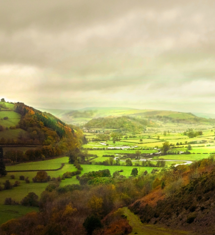 Powys County Council – Review of corporate risk management arrangements | Audit Wales